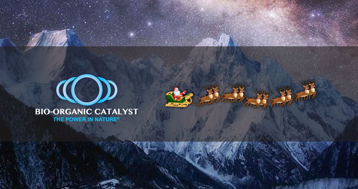 Happy holiday season from Bio-Organic Catalyst - Bio-Organic Catalyst, Inc.