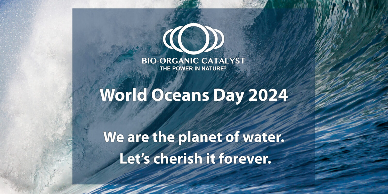 World Oceans Day 2024 - Bio-Organic Catalyst, Inc.