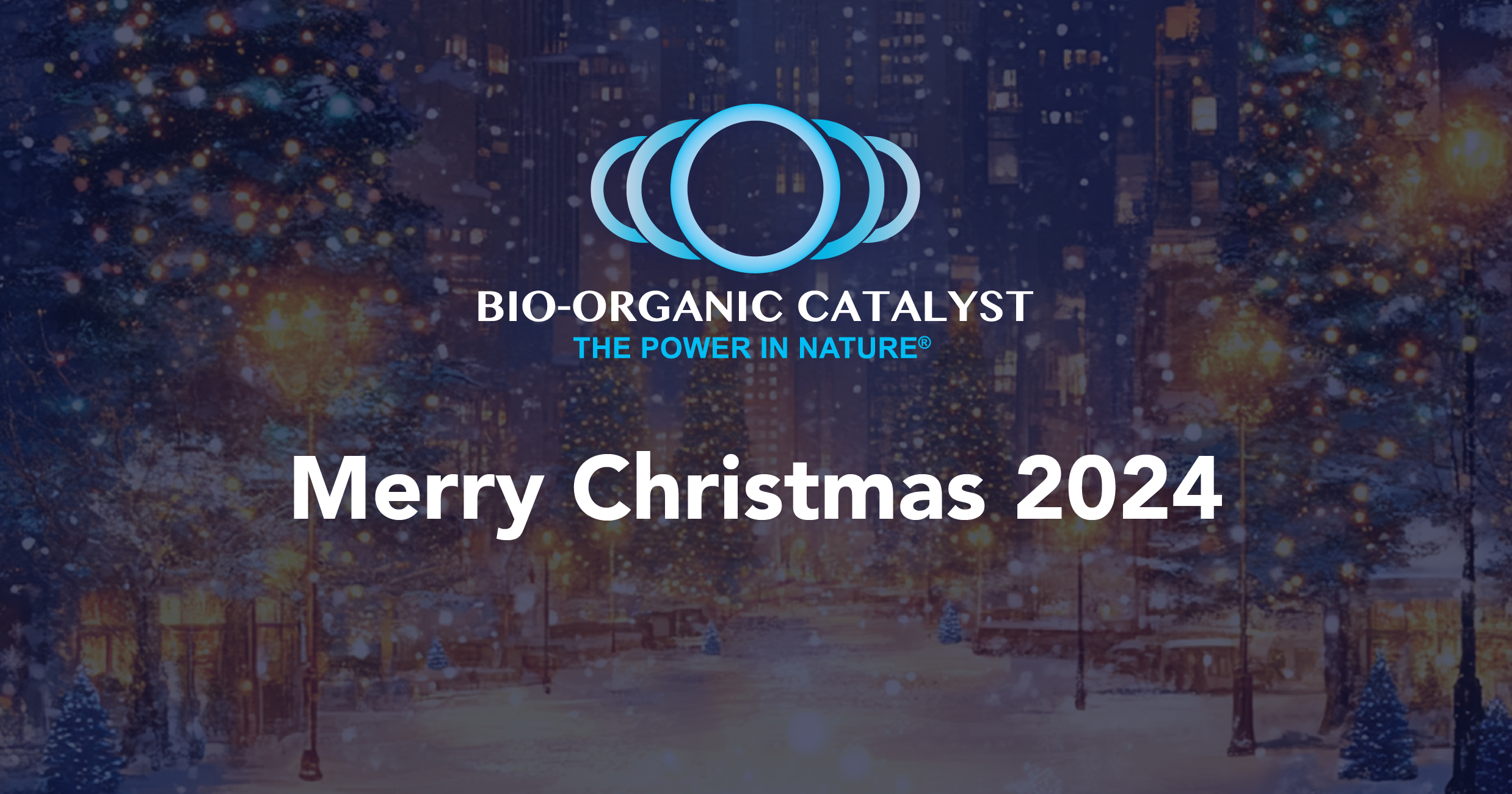 Merry Christmas 2024 - Bio-Organic Catalyst, Inc.