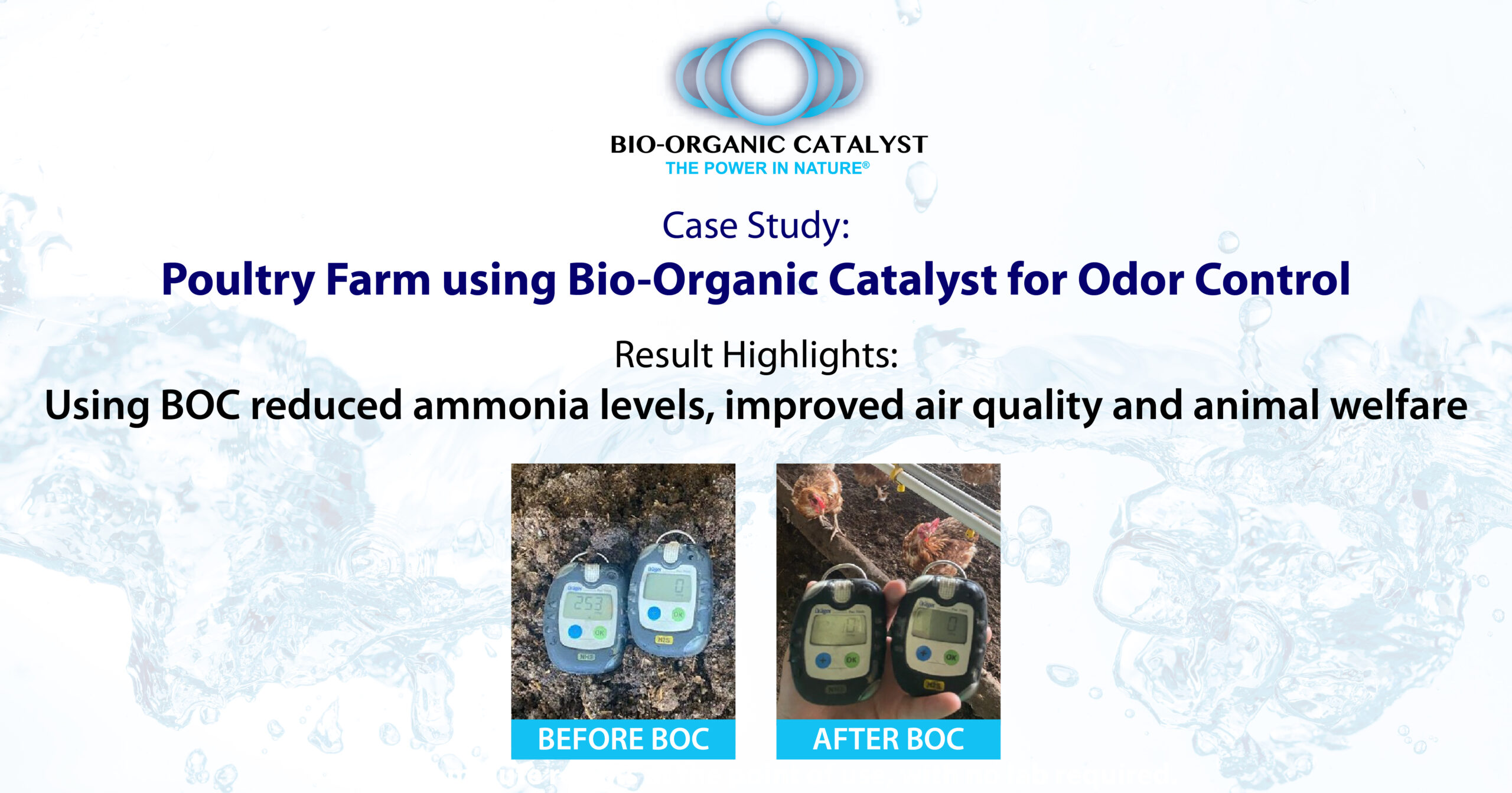 Poultry Farm Success with BOC, Odor Control