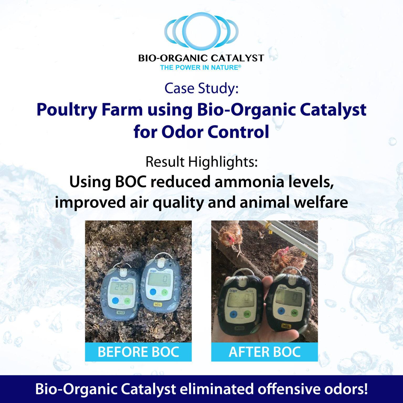 Poultry Farm Success with BOC, Odor Control