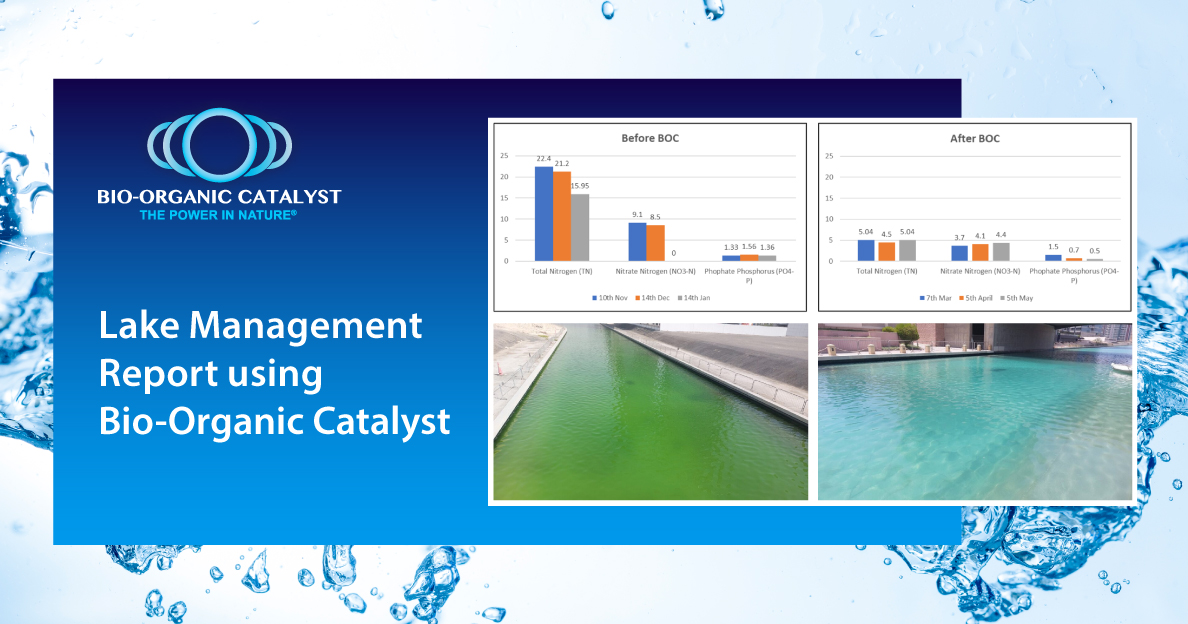 Lake Management Report
