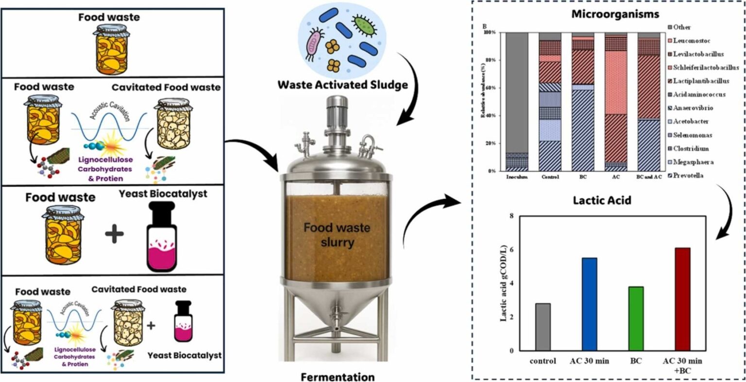 Turning Food Waste into Value: Boosting Lactic Acid with Cavitation ...