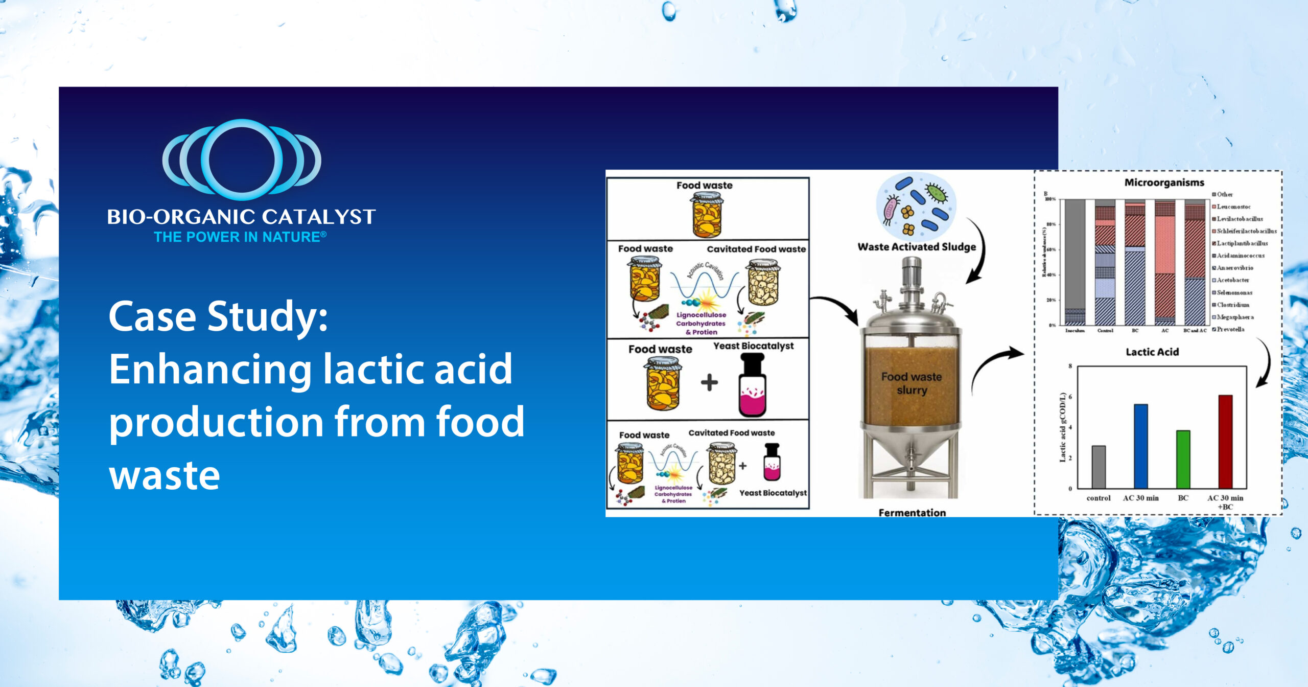 Turning Food Waste into Value: Boosting Lactic Acid with Cavitation ...