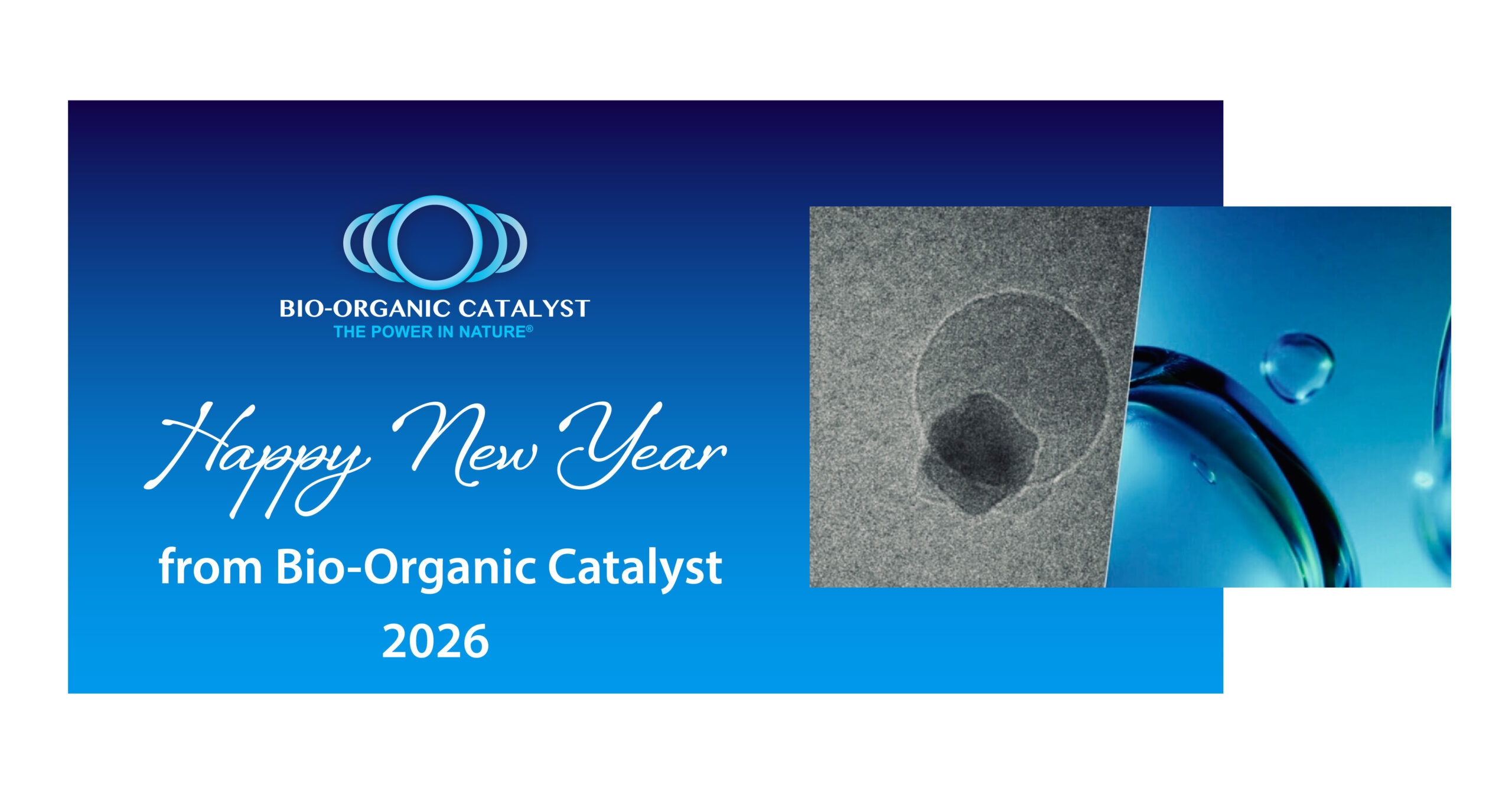 Happy New Year from Bio-Organic Catalyst, 2026