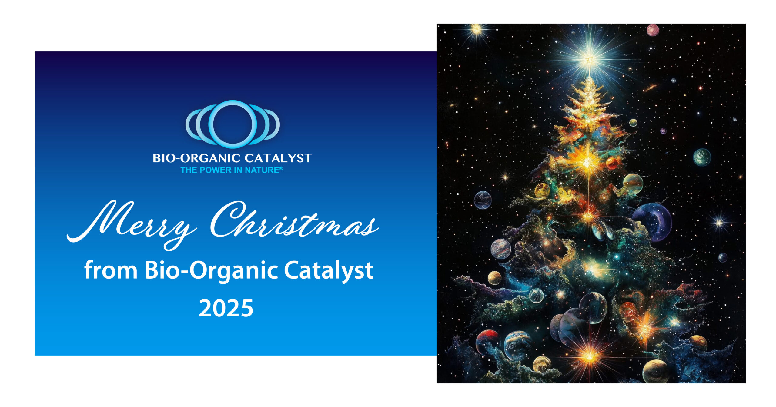 Merry Christmas from Bio-Organic Catalyst, 2025