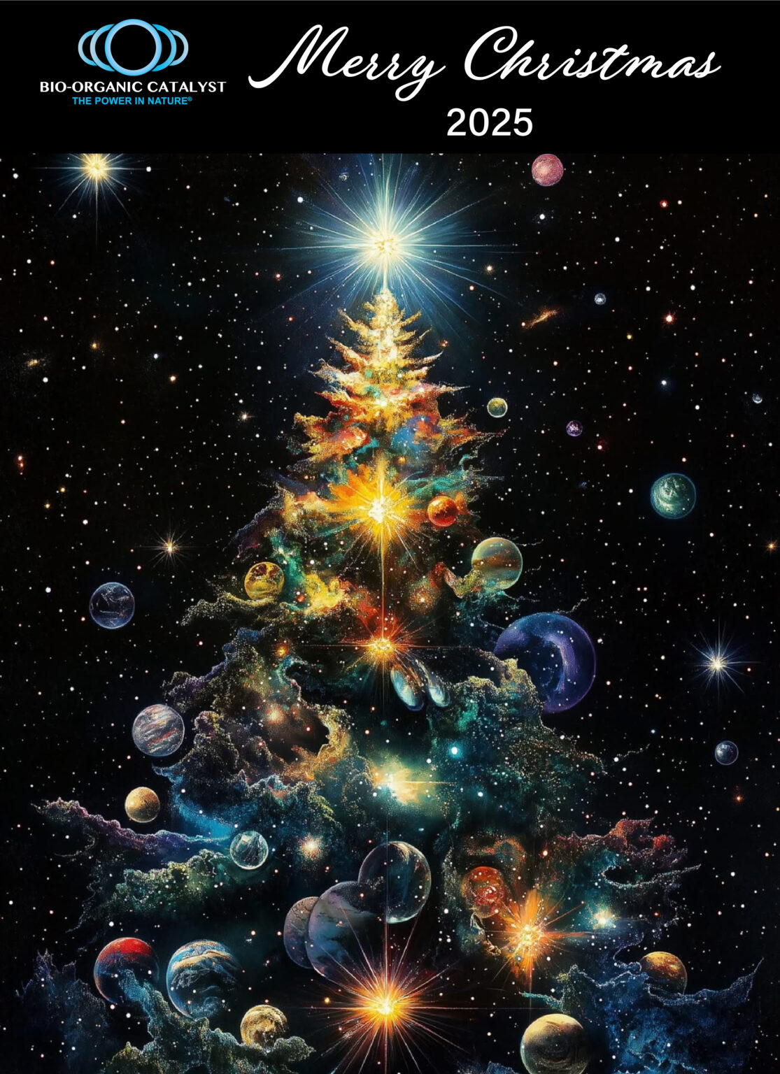 Merry Christmas from Bio-Organic Catalyst, 2025