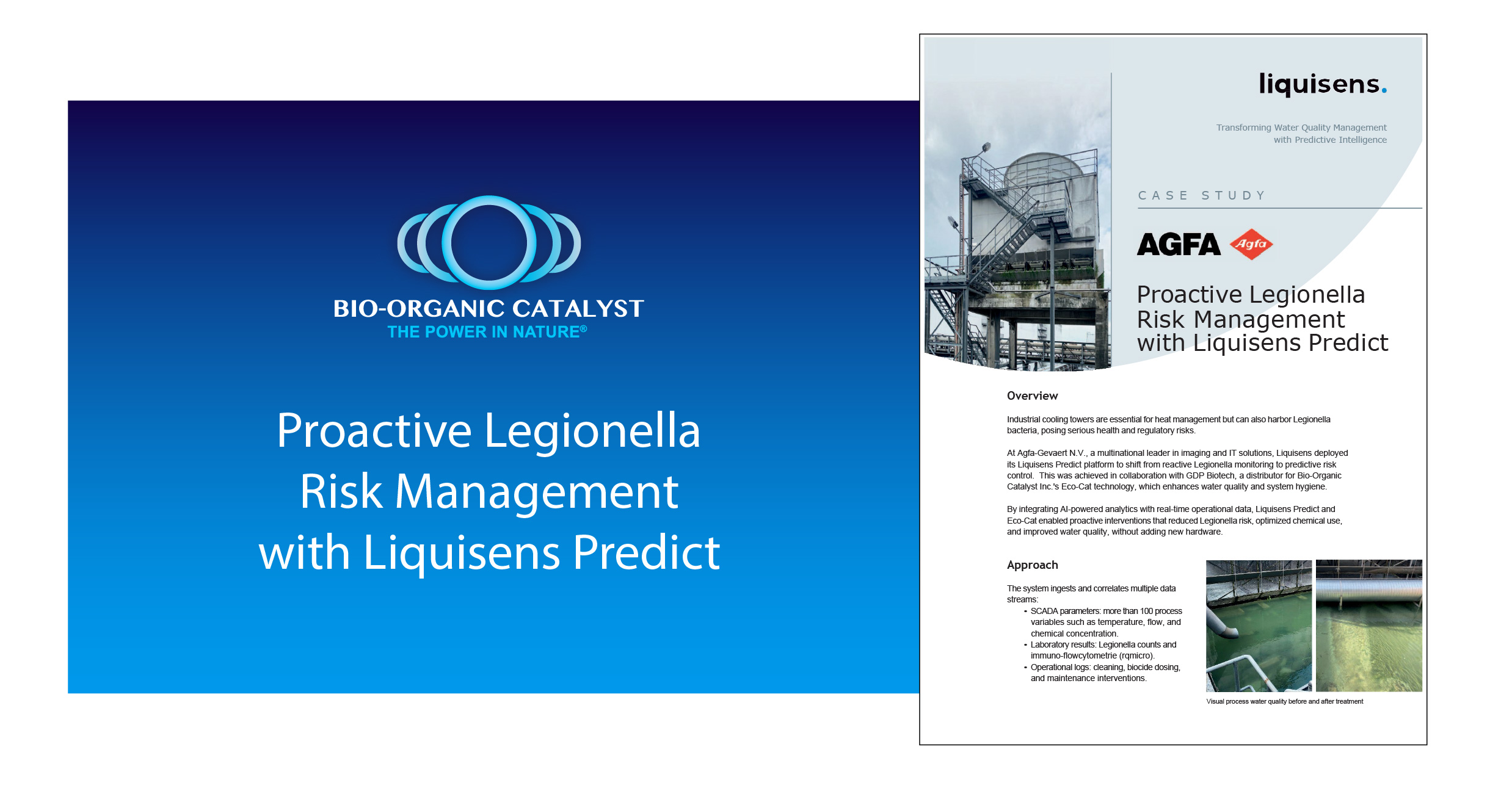 Eco-Cat, Proactive Legionella Risk Management
